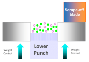 COMPRESSION PROCESS IN PHARMACEUTICAL MANUFACTURING - pharmashare.in