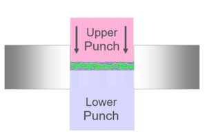 COMPRESSION PROCESS IN PHARMACEUTICAL MANUFACTURING - pharmashare.in